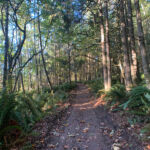 Visiting Valley View Forest - Jefferson Land Trust Jefferson Land Trust